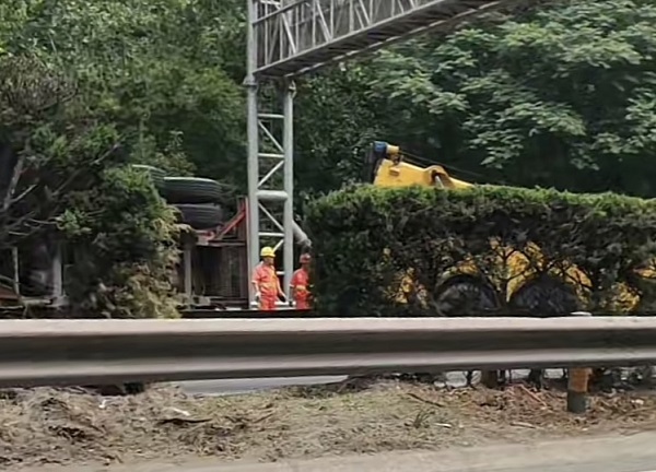 G1503一集卡侧翻 事故引发超6公里严重拥堵_上海滩_新民网