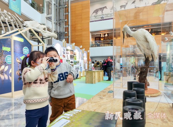 从城市到荒野：生物多样性主题展在上海自然博物馆开幕_新民印象_新民网