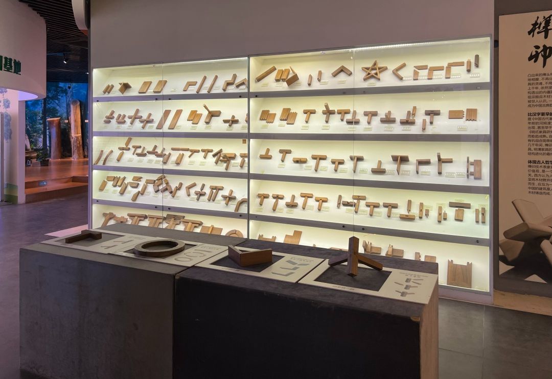 来宝山这家博物馆，开启木头的探索之旅吧_上海宝山_新民网