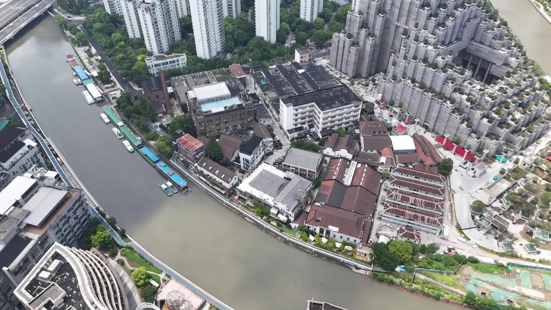 “N种可能”的M50创意园（上）：迎来首家面包店，艺术空间与美食有机融合_上海普陀_新民网