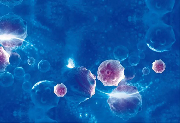 奕凯达新增二线适应症申请获受理！复星凯特将参展第五届进博会_市政厅_新民网