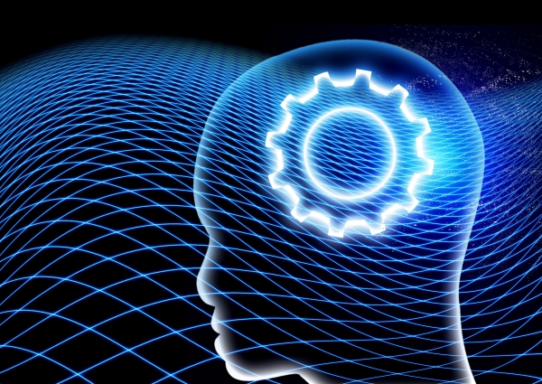 MindX数据支持计划推出10日后：首笔资助签约，数十家洽谈中_科创_新民网